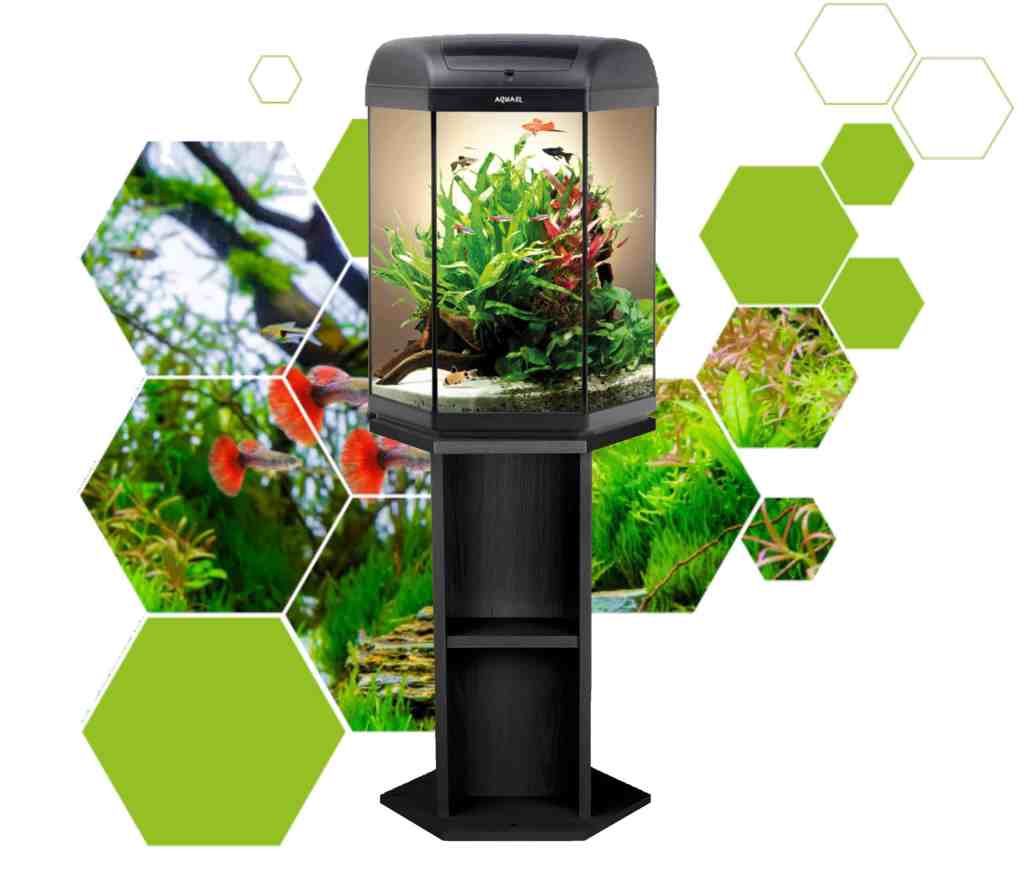 Products – Aqua Premium