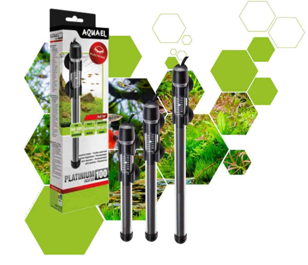 Monthly Specials – Aqua Premium