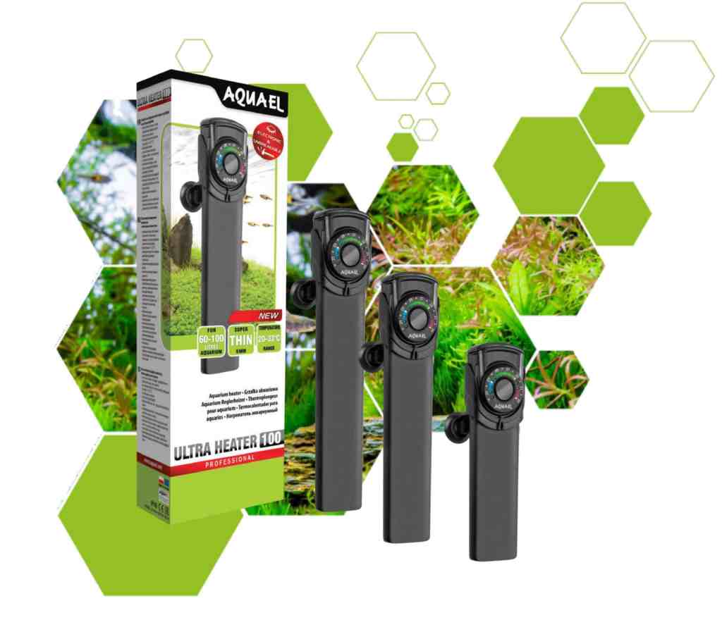 Monthly Specials – Aqua Premium