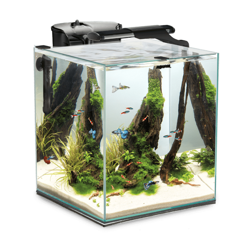 Aquael Fish & Shrimp Set Duo 35 Black Aquarium – Aqua Premium