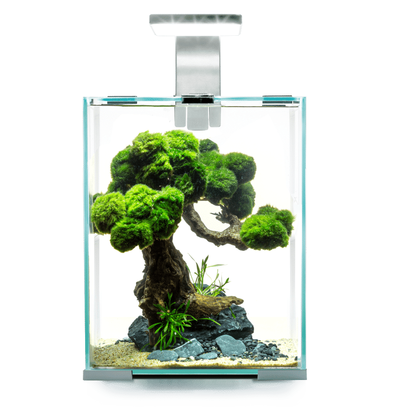 Aquael Shrimp Set Day & Night 10 White - Aqua Premium