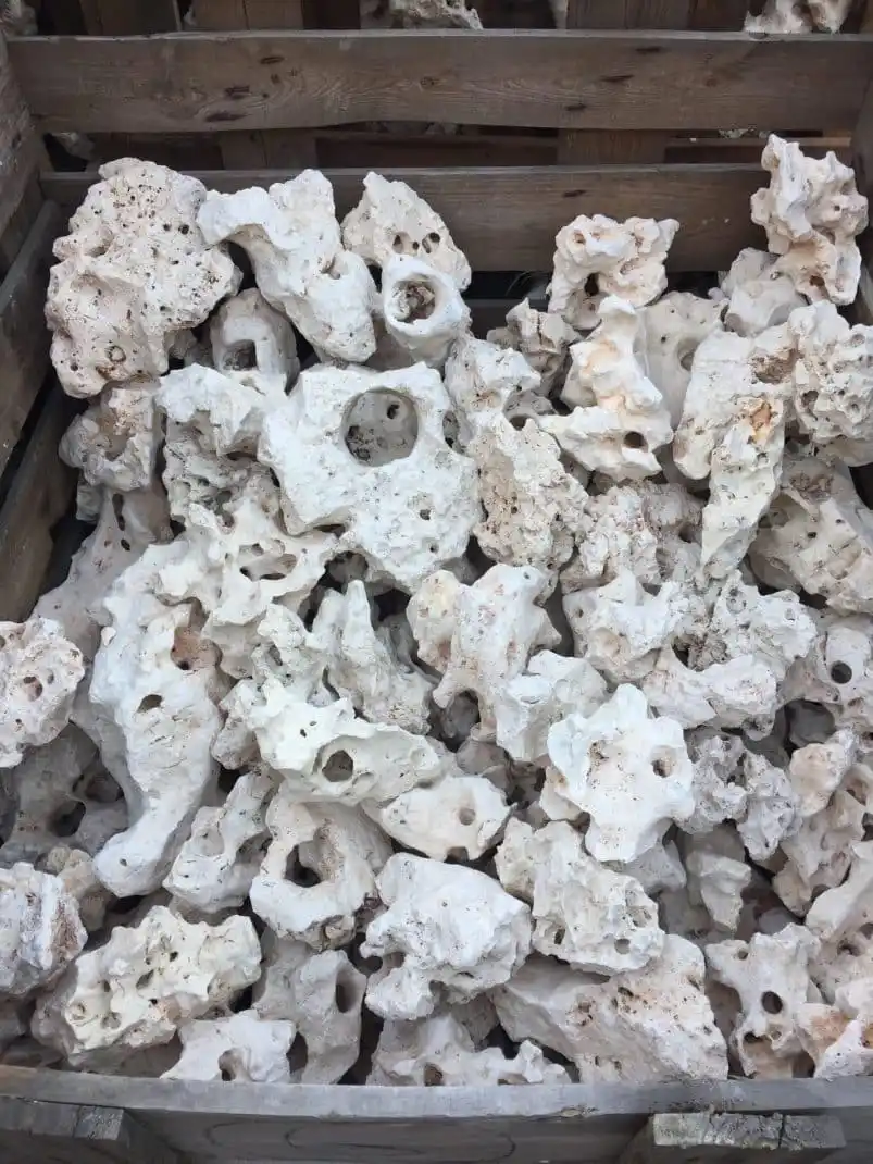 AP Naturals Texas Holey Rock – Aqua Premium